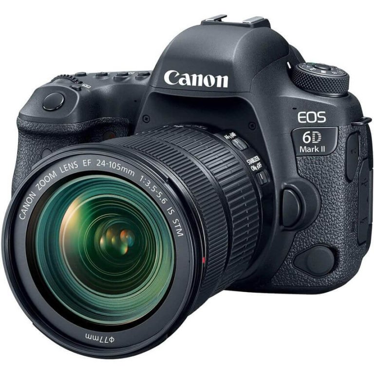 Best macro lens in 2022 Which one to choose and how? A complete guide