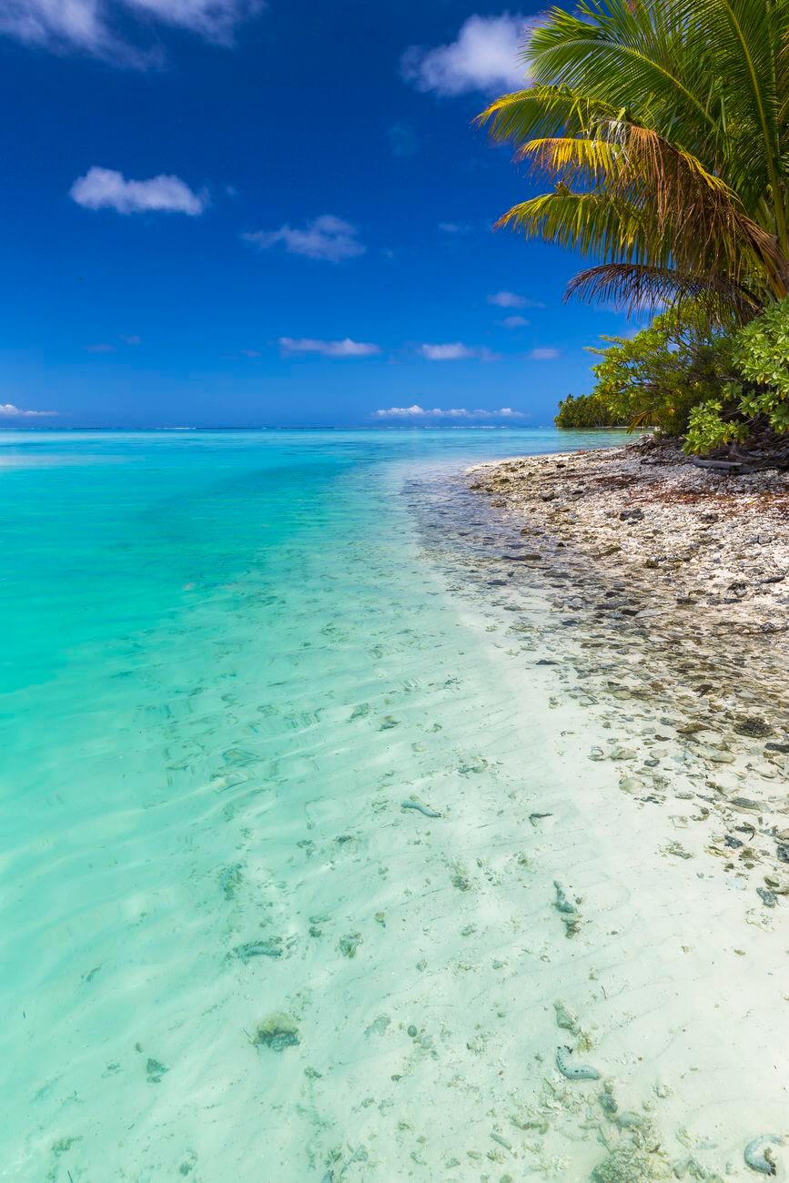 Honeymoon in French Polynesia - The complete guide for your travel