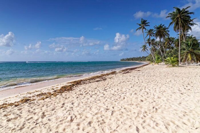 Marie-Galante Island in 2025 - What to see and do on site?