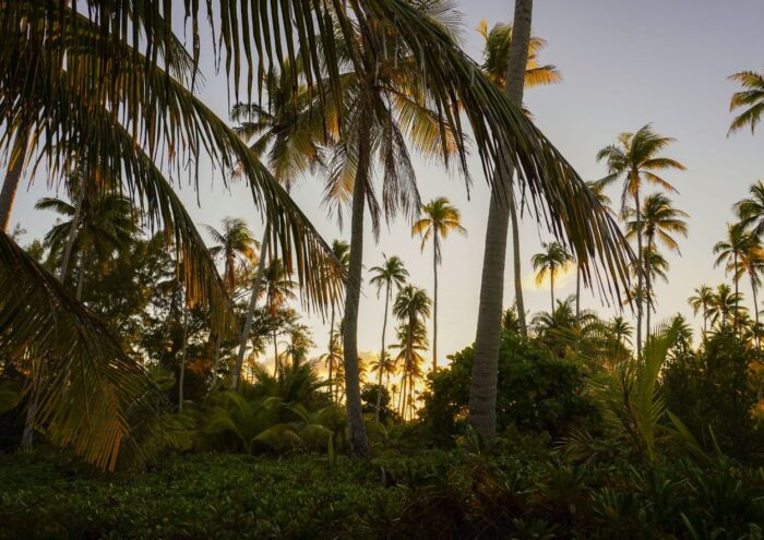 Fakarava - A must-see atoll in French Polynesia in 2026!