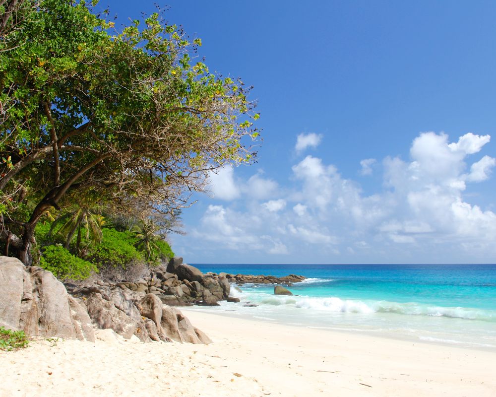 What to do in Seychelles 2026 - The must-sees