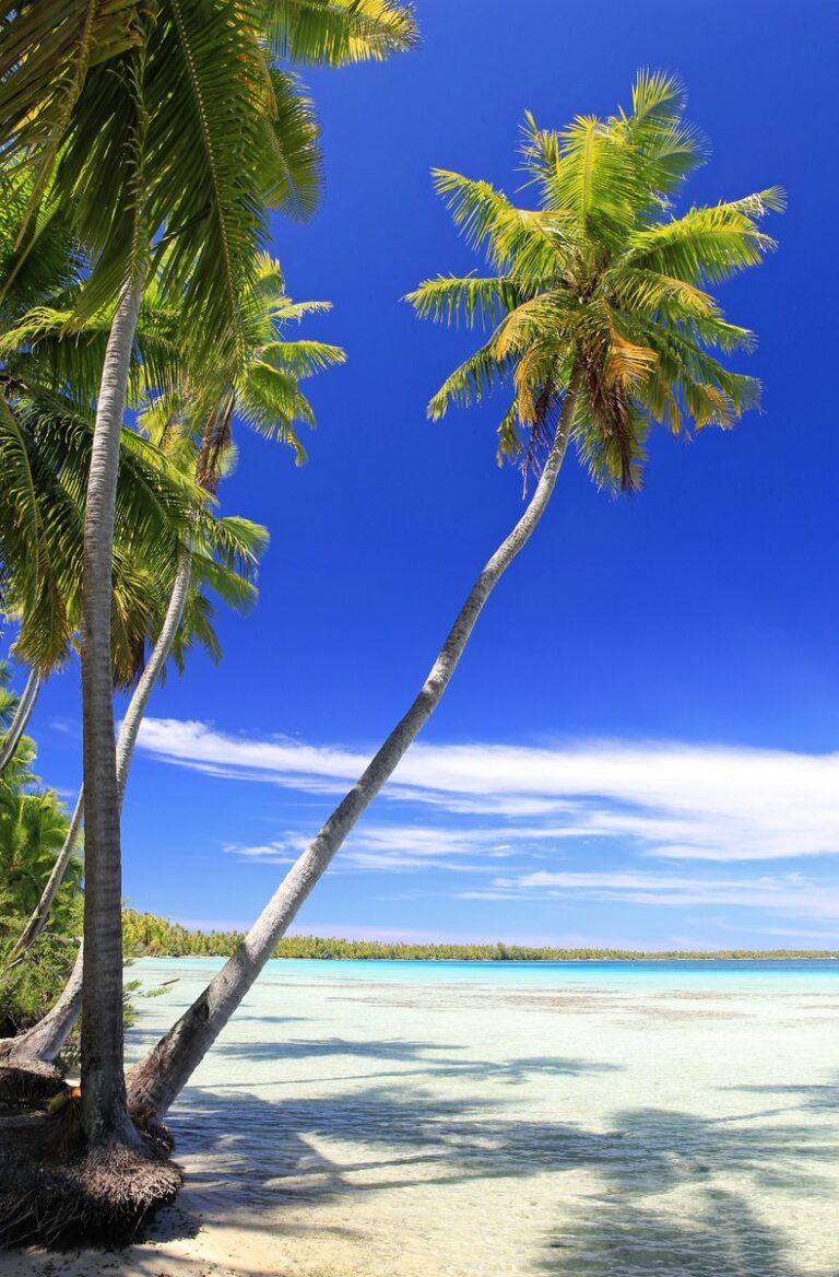 Polynesian Tuamotu Archipelago - Our Full Guide 2026