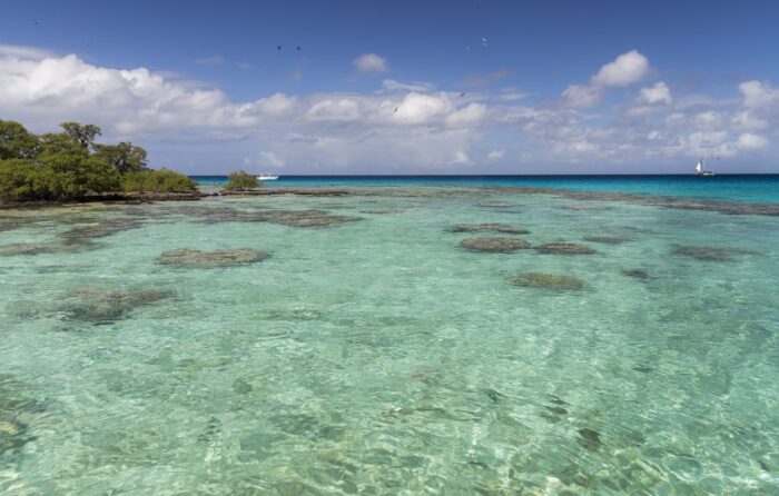 Polynesian Tuamotu Archipelago - Our Full Guide 2026