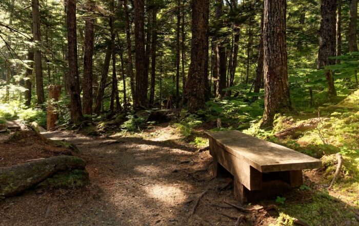 Battery Point Trail in Haines, Alaska im Jahr 2026 - Super!