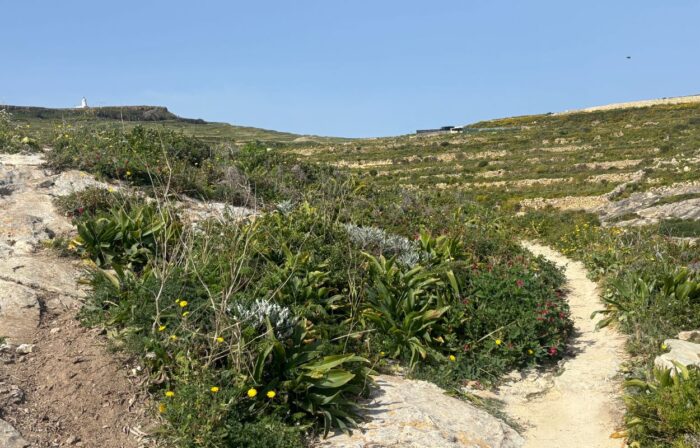 Hiking in Malta: the island's most beautiful trails in 2026!
