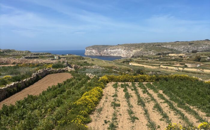 Hiking in Malta: the island's most beautiful trails in 2026!