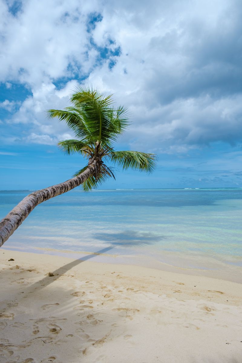 ¿Qué hacer en Seychelles 2026? - Imprescindibles